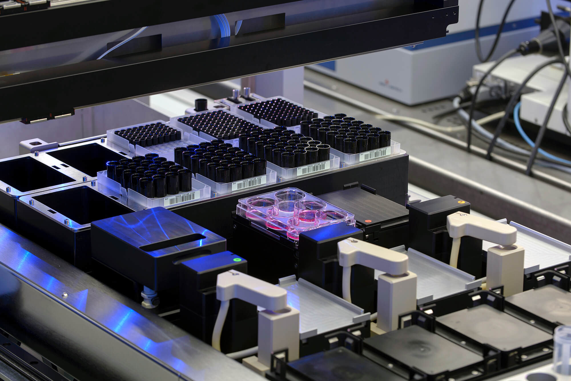 Molecular Karyotyping - LIFE & BRAIN GmbH