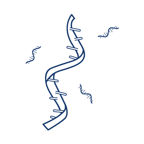 Expression Analysis - LIFE & BRAIN GmbH